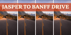 Jasper to Banff Drive: Best Stops for Families - Along The Rockies